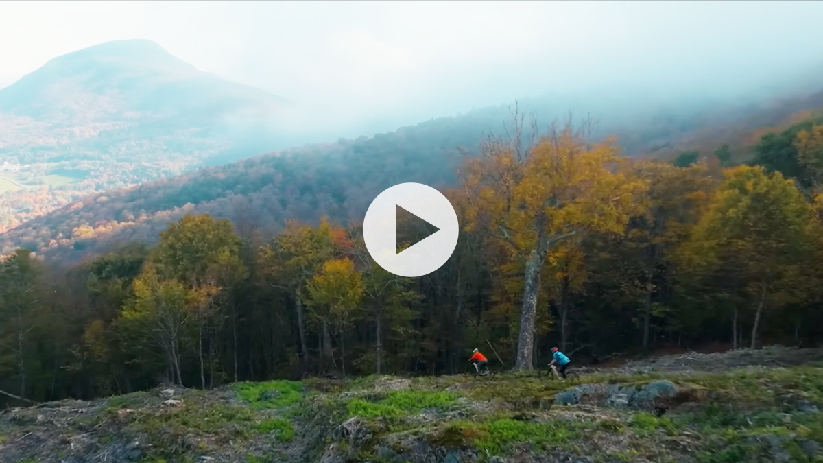 Sugar Trails TRAIL TALES | Freehub Magazine