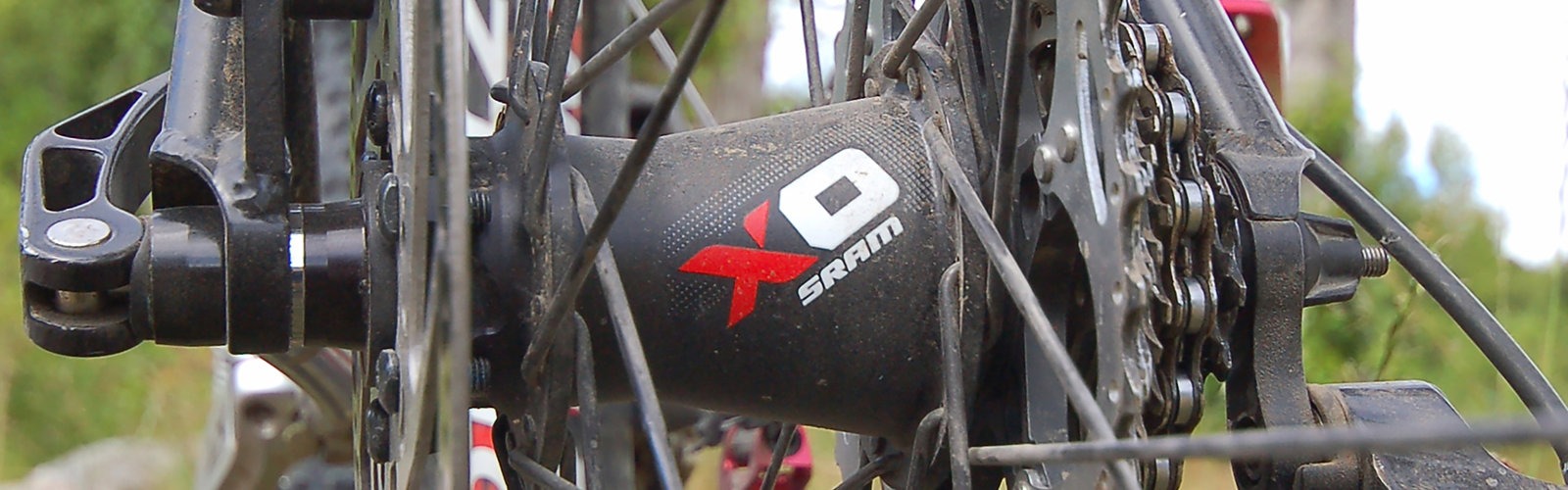Component Review | SRAM XO Hubs | Freehub Magazine