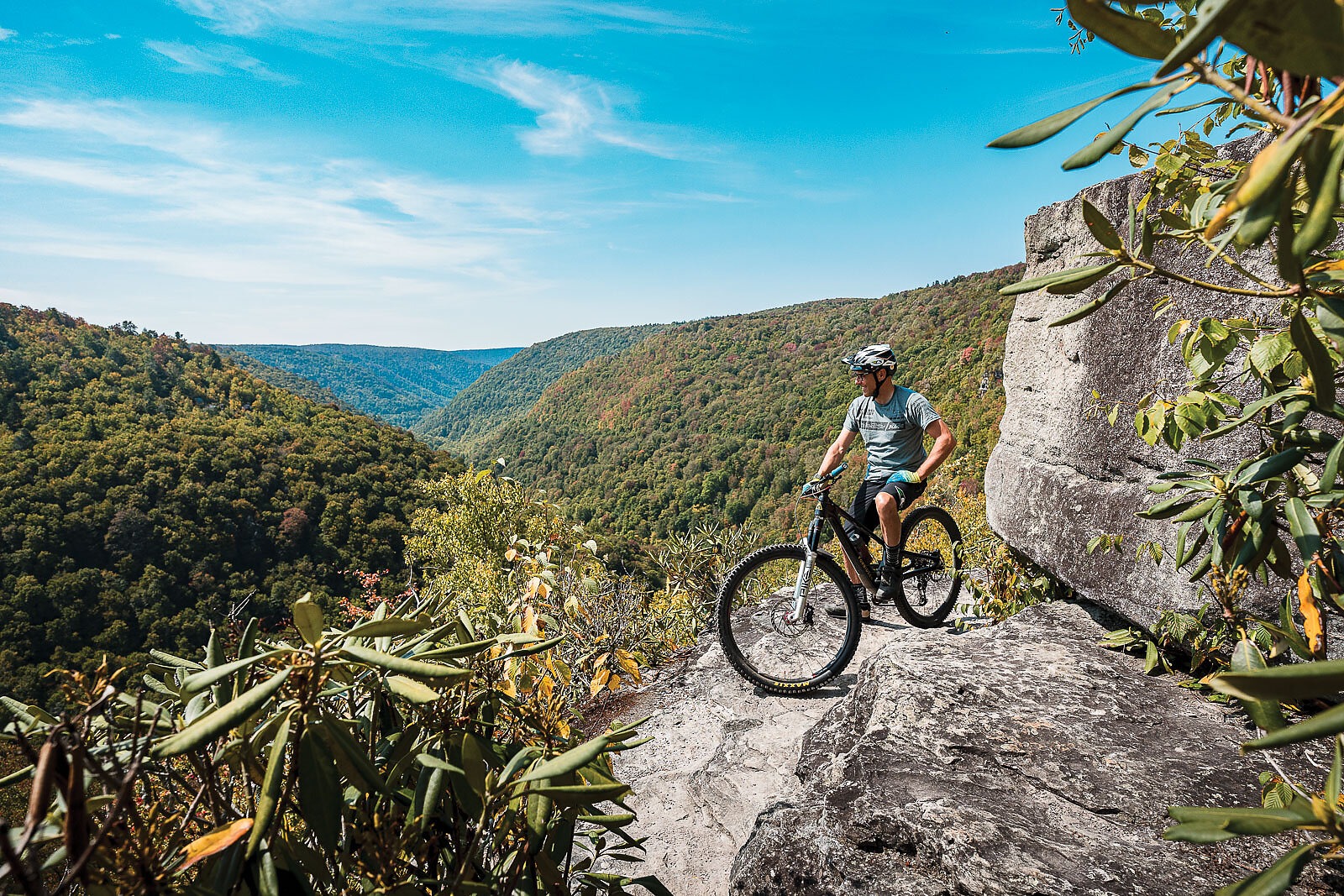 The Rich Legacy of Mountain Biking in Davis | Unapologetically Old ...