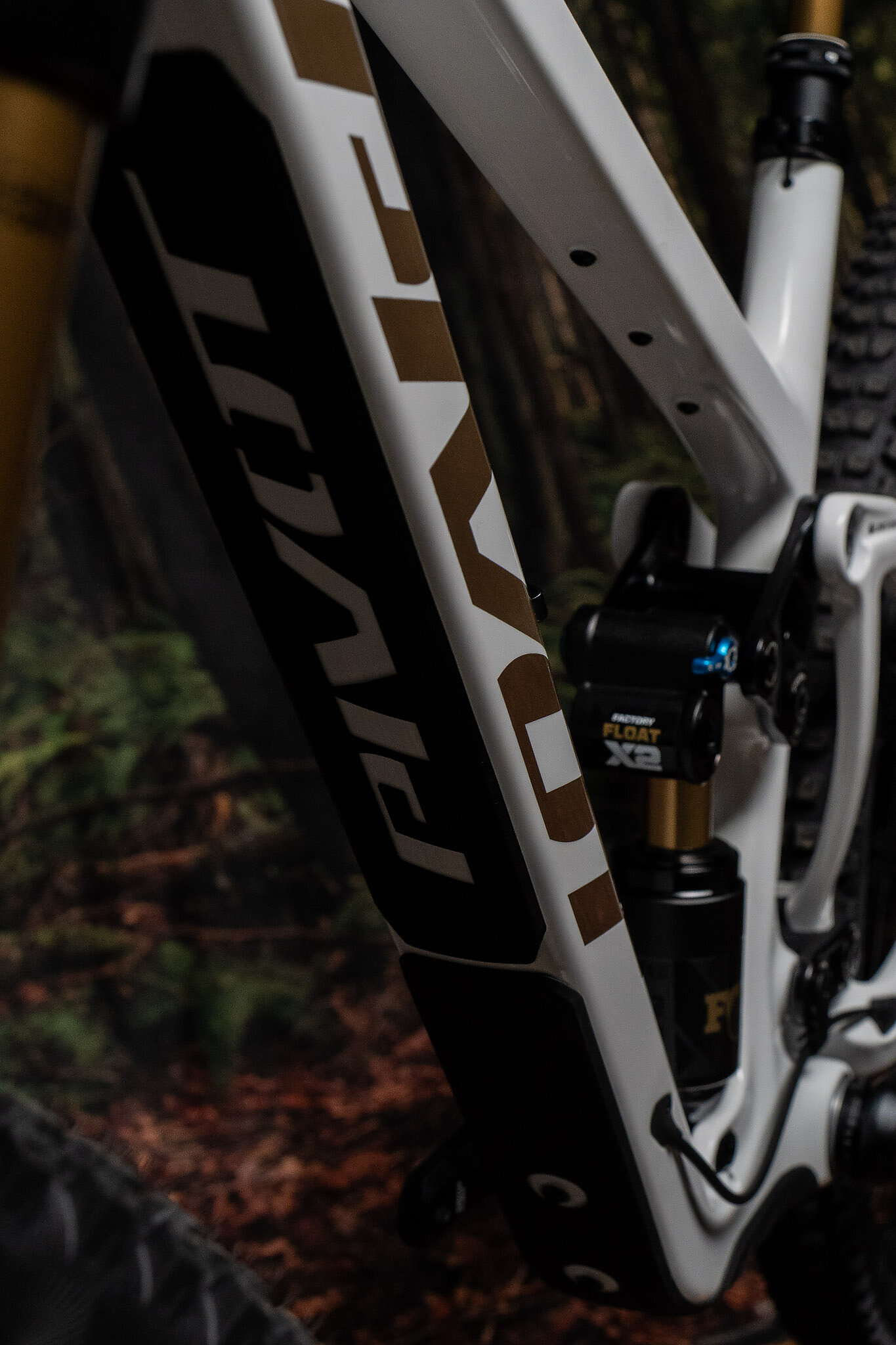 Bike Review | Pivot Firebird | Freehub Magazine
