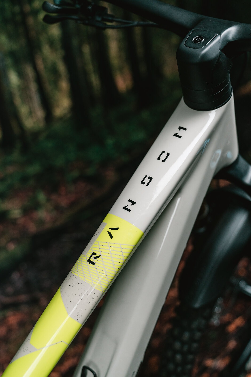 Bike Review | Scott Ransom | Freehub Magazine